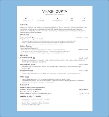 Senior-Level Data Scientist Resume Template - LFR Builder