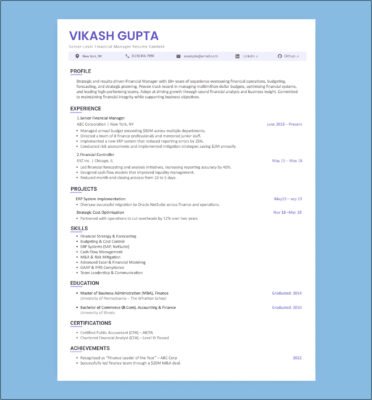 Senior-Level Resume Template - Free Editable PDF Download