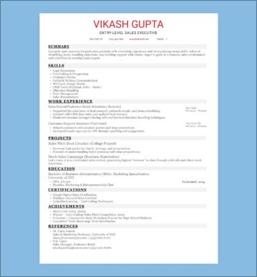 Senior-Level Resume Template - Free Editable PDF Download