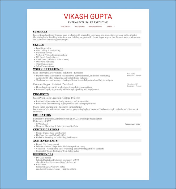 Senior-Level Resume Template - Free Editable PDF Download